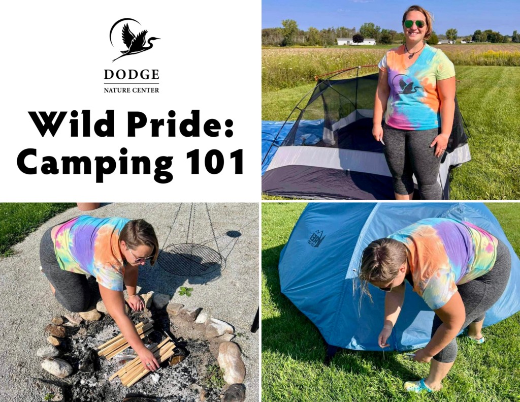 Wild Pride: Camping 101 at Dodge Nature Center – Twin Cities Pride
